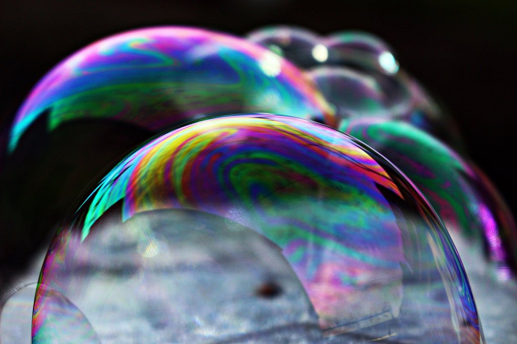 Iridescence in insects – Ray Cannon's nature notes