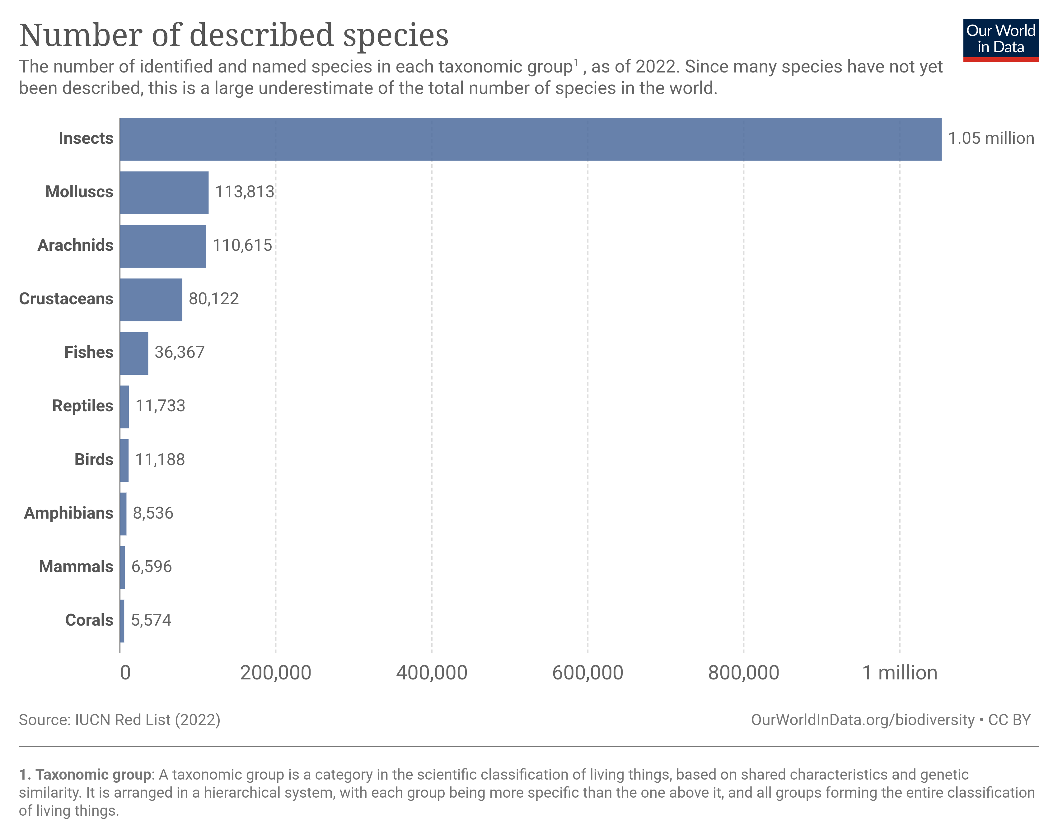 How many insects are there? – Ray Cannon's nature notes