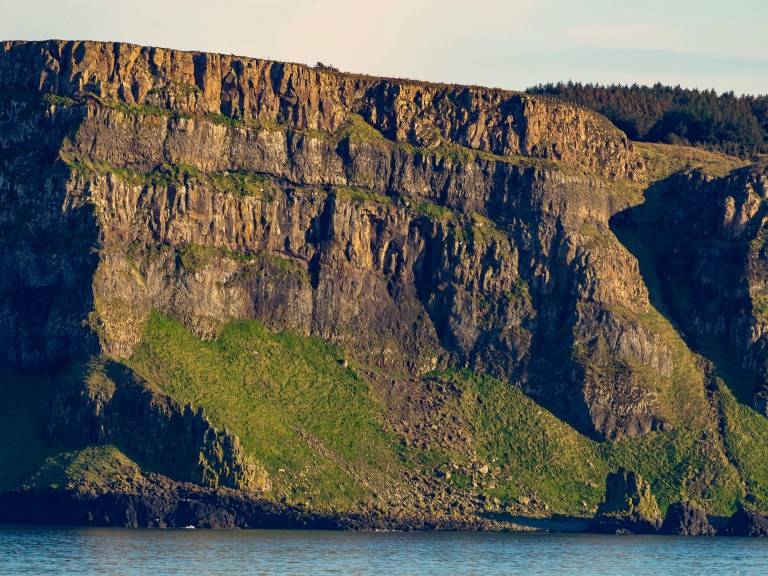 Seabirds of Rathlin Island (NI) – Ray Cannon's nature notes
